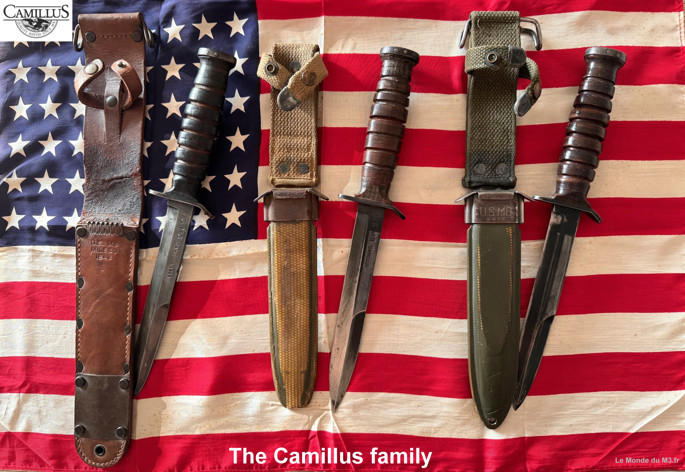 Le Monde du M3 - Photos Collection